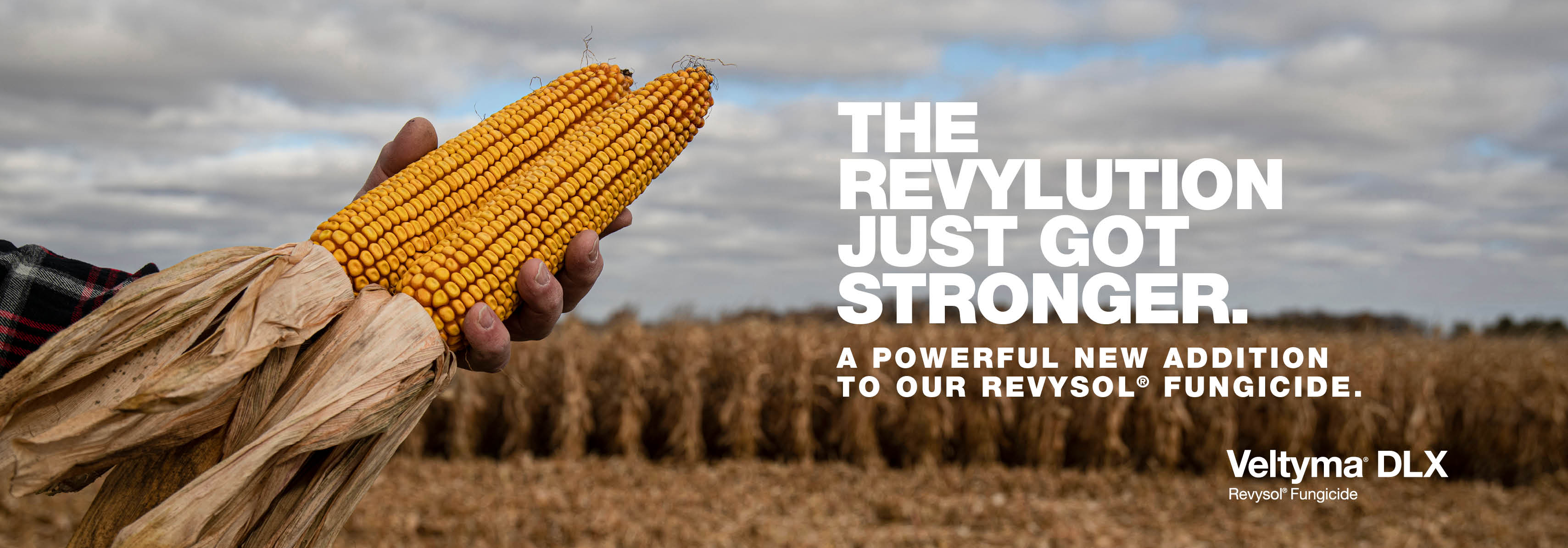 BASF | Agricultural Solutions - Eastern Canada